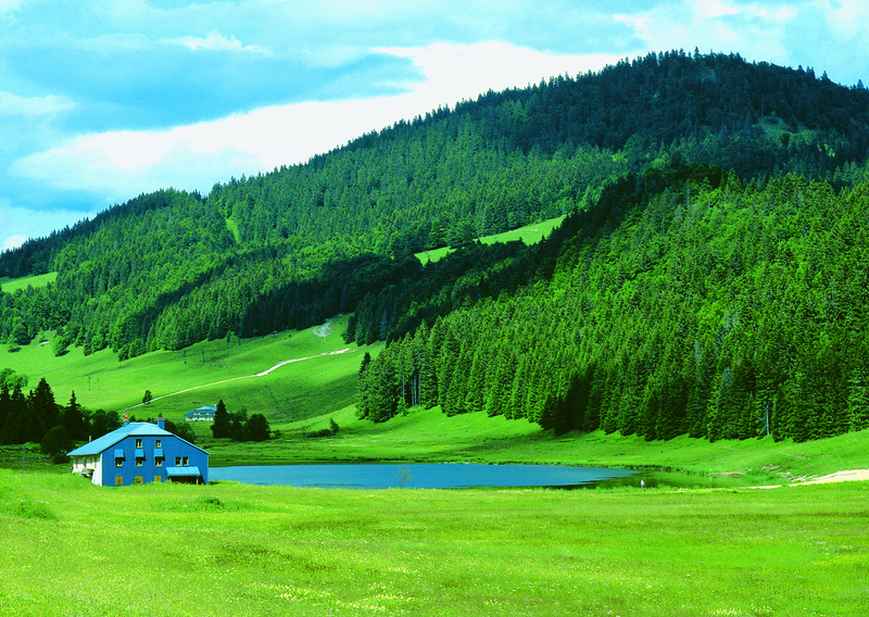 Tertio Voyages -Offre spéciale ÉTÉ 2013 : Vacances en couple ou en ...